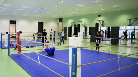 Bachelor’s in STAPS | UFR STAPS